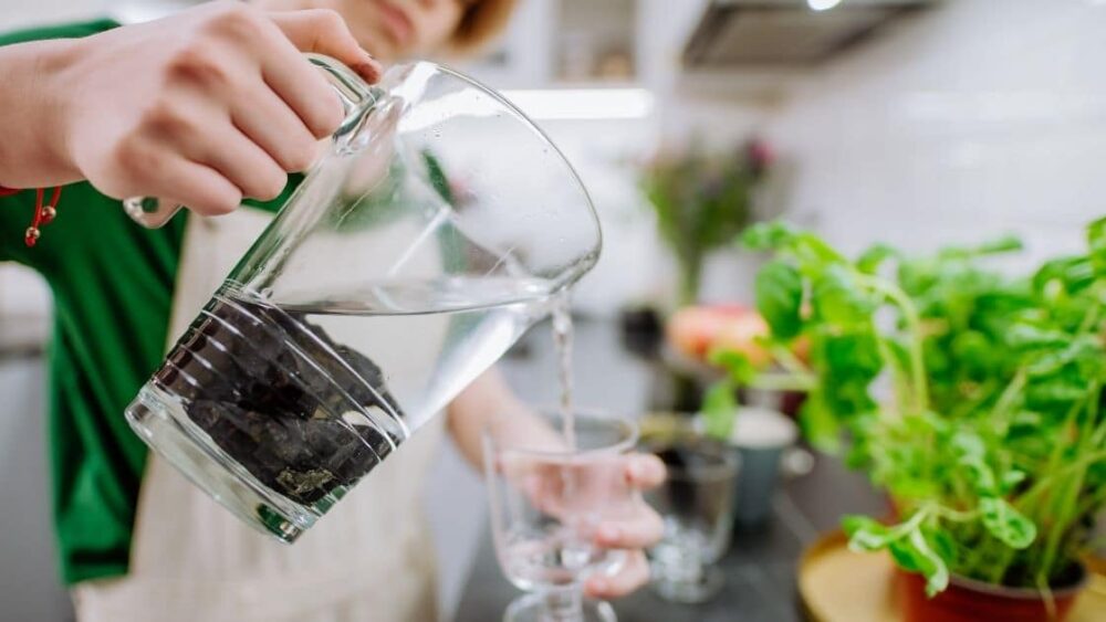 The Complete Guide To Shungite - The Crystal Elephant